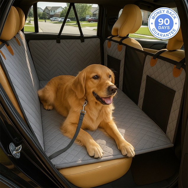 Premium Pet Products | Dog Accessories & Supplies - Shaped Paws